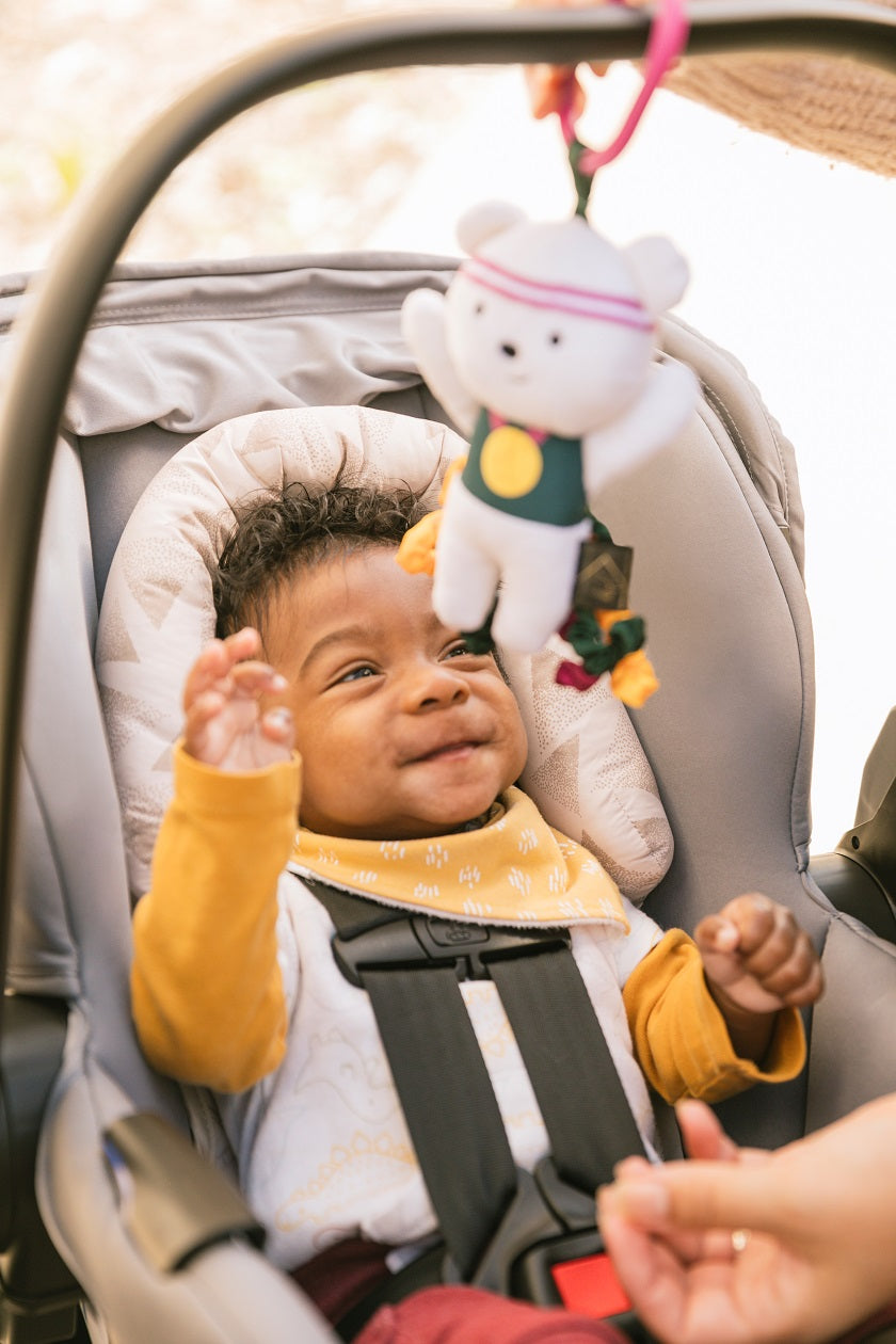 Collections – GoldBug