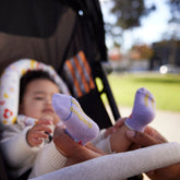 Collections – GoldBug