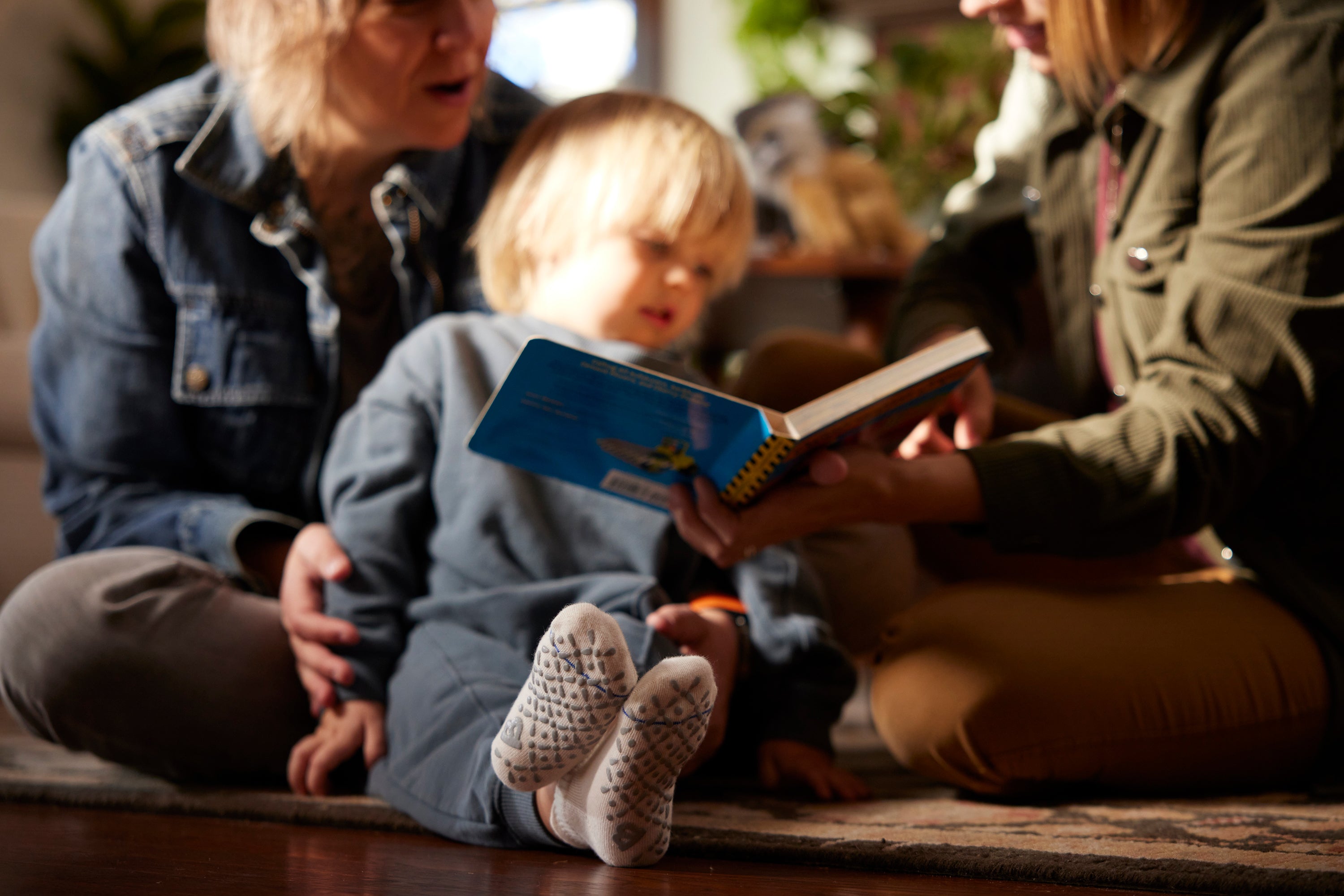 Collections – GoldBug